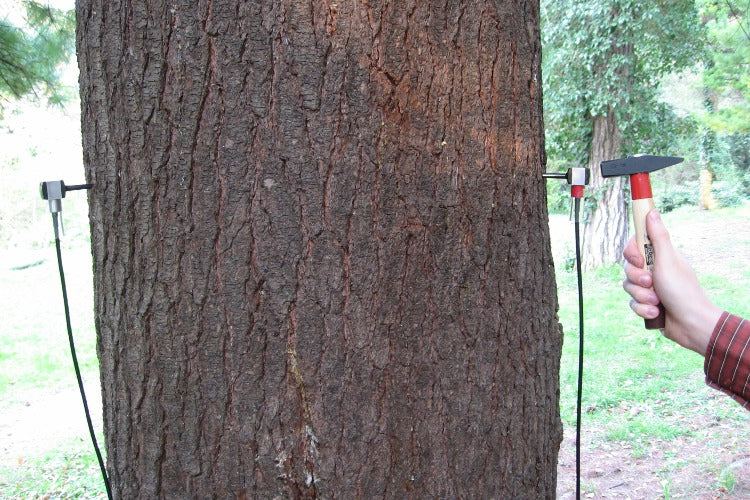 Fakkop Microsend Timer for Precision Wood Testing | Inspection Tool ...